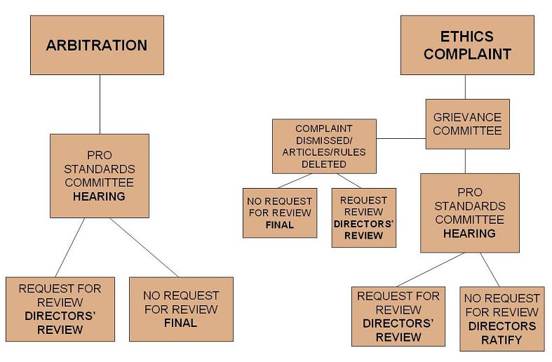 Professional Standards and Ethics